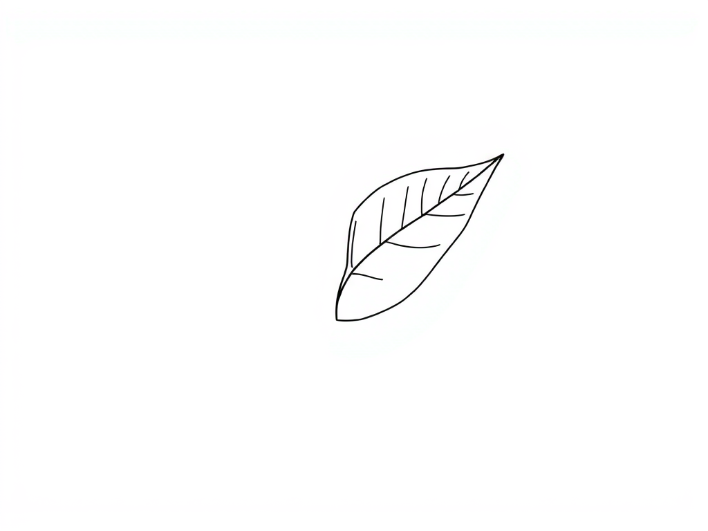 simple-line-drawing-of-a-leaf – NaturAbode